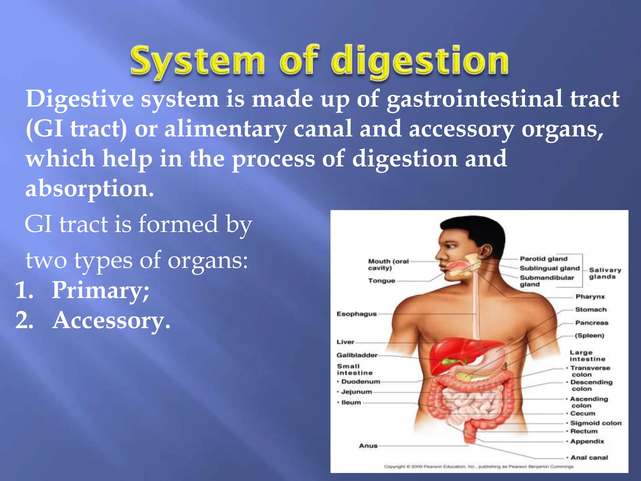 13_Digestion in oral cavity and stomach.pptx