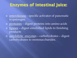 13_Digestion in oral cavity and stomach.pptx