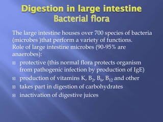 13_Digestion in oral cavity and stomach.pptx