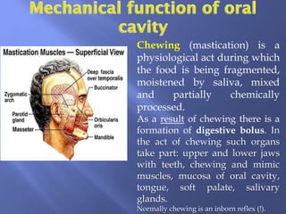 13_Digestion in oral cavity and stomach.pptx