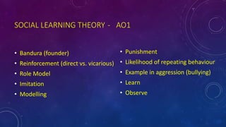 Institutional aggression | PPTX