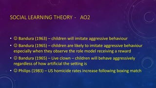 Institutional aggression | PPTX