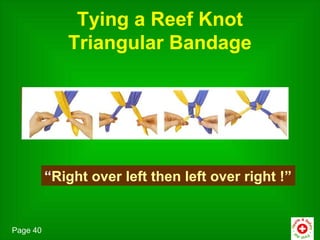 13 dressings and bandages | PPT