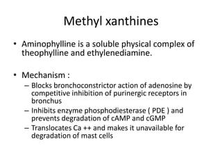 13drugs acting on respiratory system anti asthmatics | PPTX
