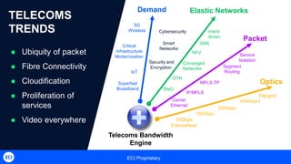 Elastic Network Capacity | PDF