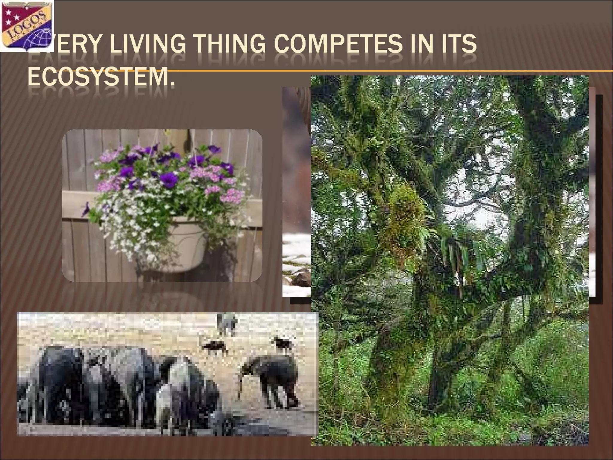 Ecosystems | PPT