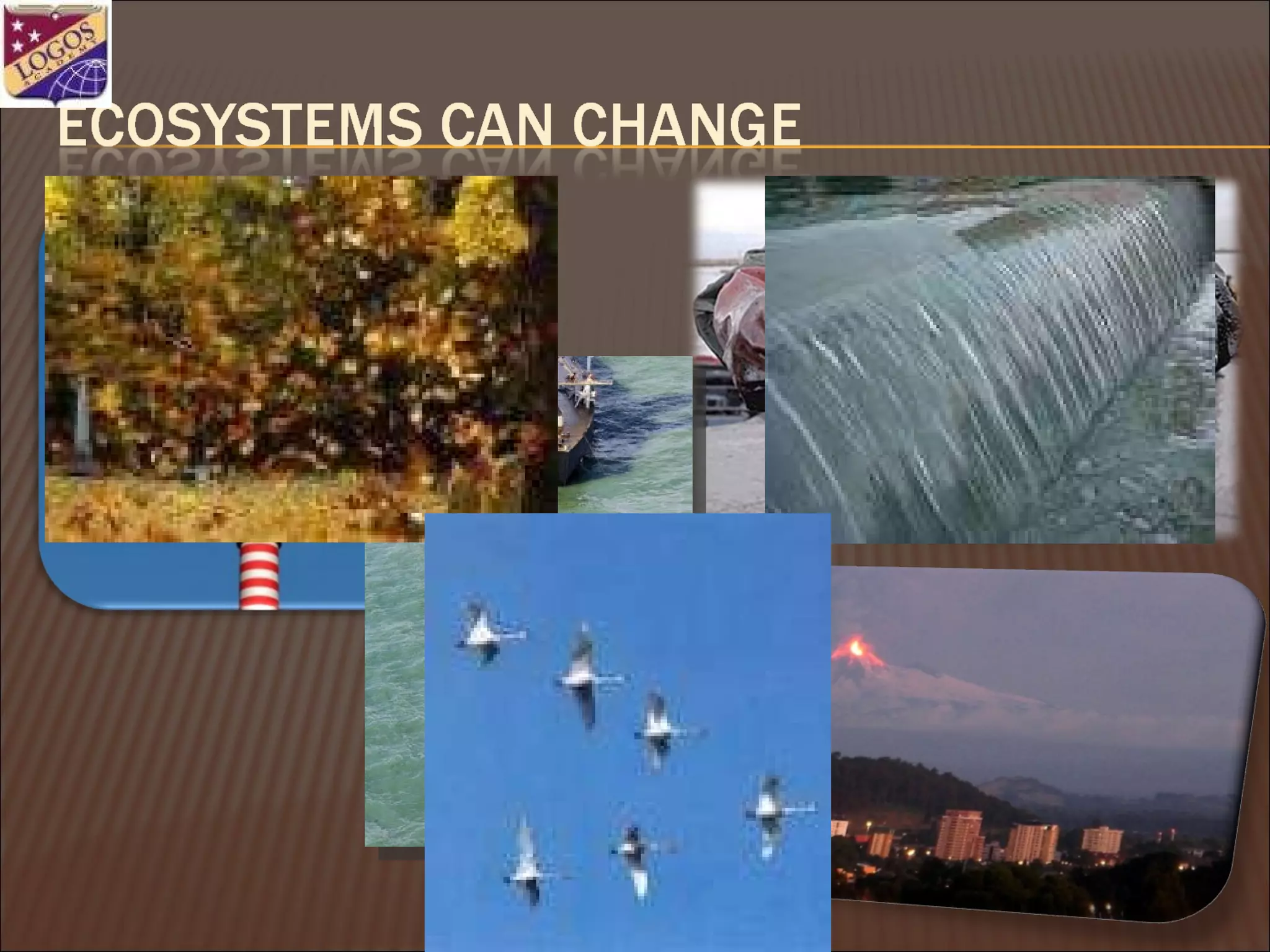 Ecosystems | PPT