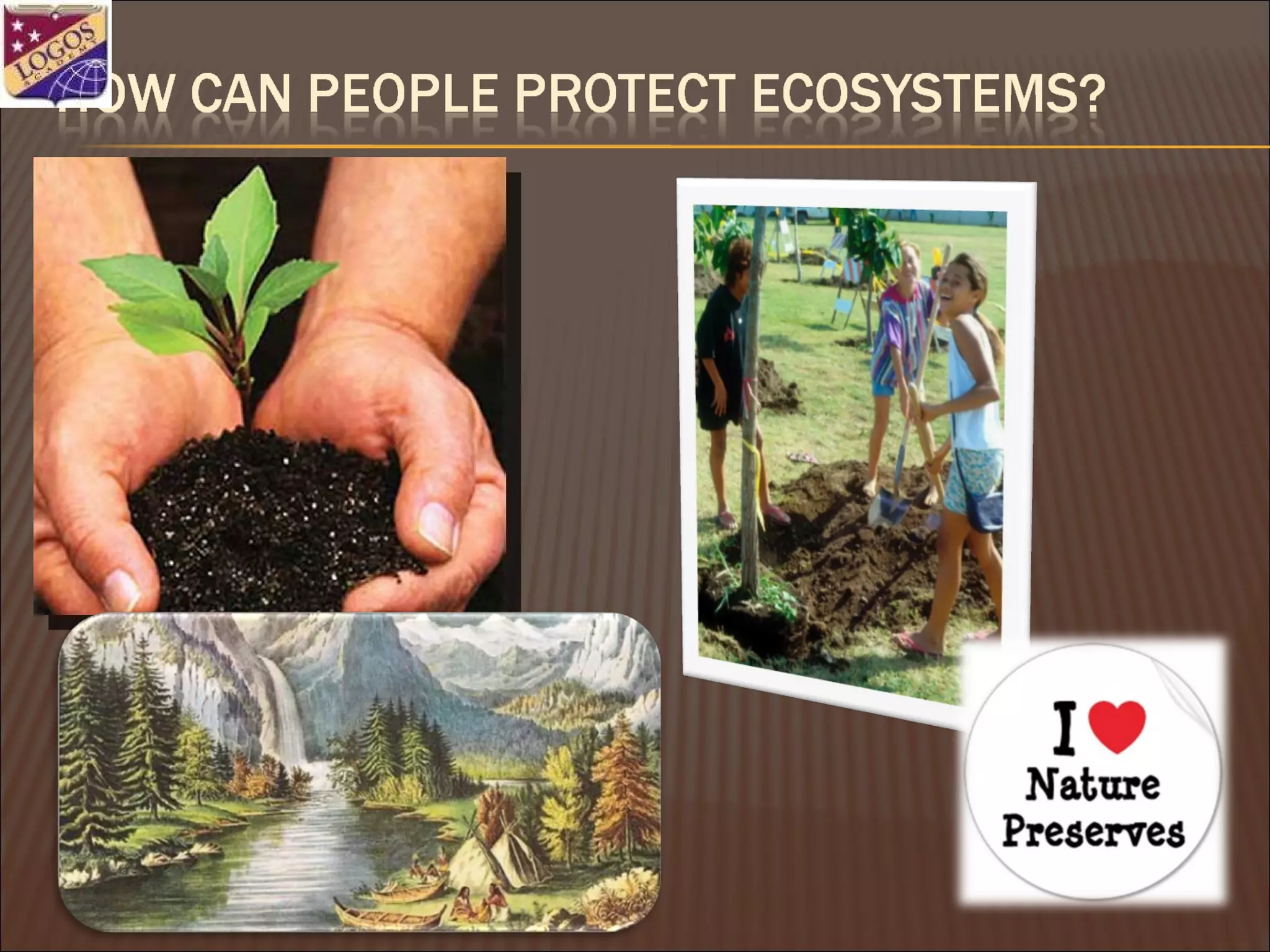 Ecosystems | PPT