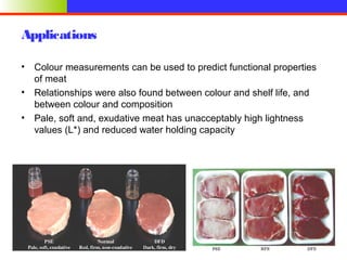Chromaticity Indices for the Measurement of Meat Colour | PPT