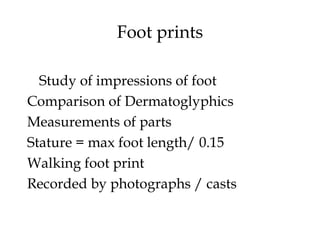13 f identification 13 | PPT