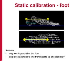 13 functional calibration (nov 2014) | PPT