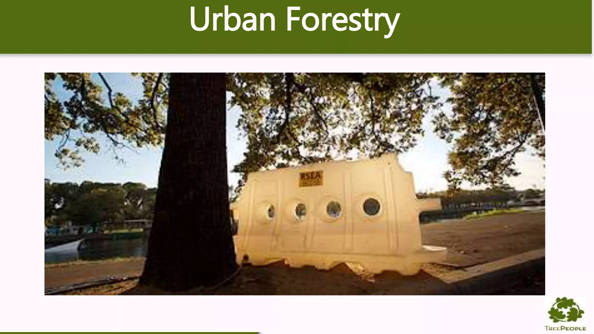 Lessons from the Land of Oz: Australia's Response to the Millennium ...