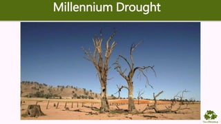 Lessons from the Land of Oz: Australia's Response to the Millennium ...