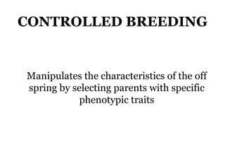 13 genetic engineering bw | PPT | Genetics | Science