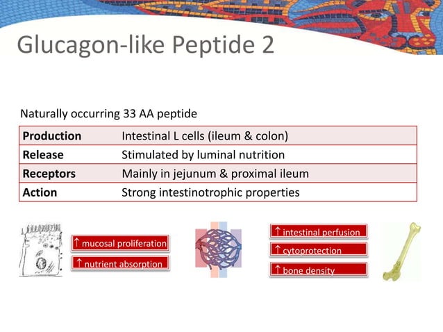 Future Developments in adult Intestinal Failure | PPTX
