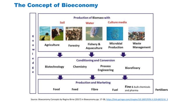 Global Value Chain in the Agrifood Sector | PPTX | Agriculture | Industries