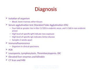 13 Human Brucellosis diagnosis and .pptx