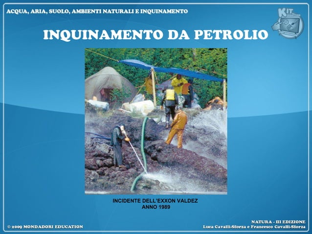 Inquinamento | PPT