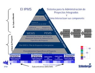 13 introducción a los procesos y sistemas de ipm | PDF