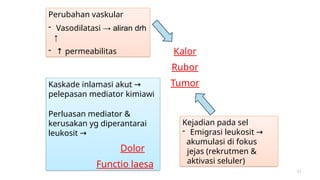 pembelajaran pada Konsep_Inflamasi_pptx.pptx
