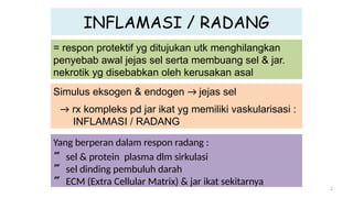 pembelajaran pada Konsep_Inflamasi_pptx.pptx