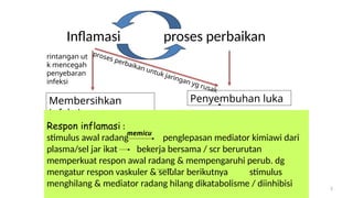 pembelajaran pada Konsep_Inflamasi_pptx.pptx