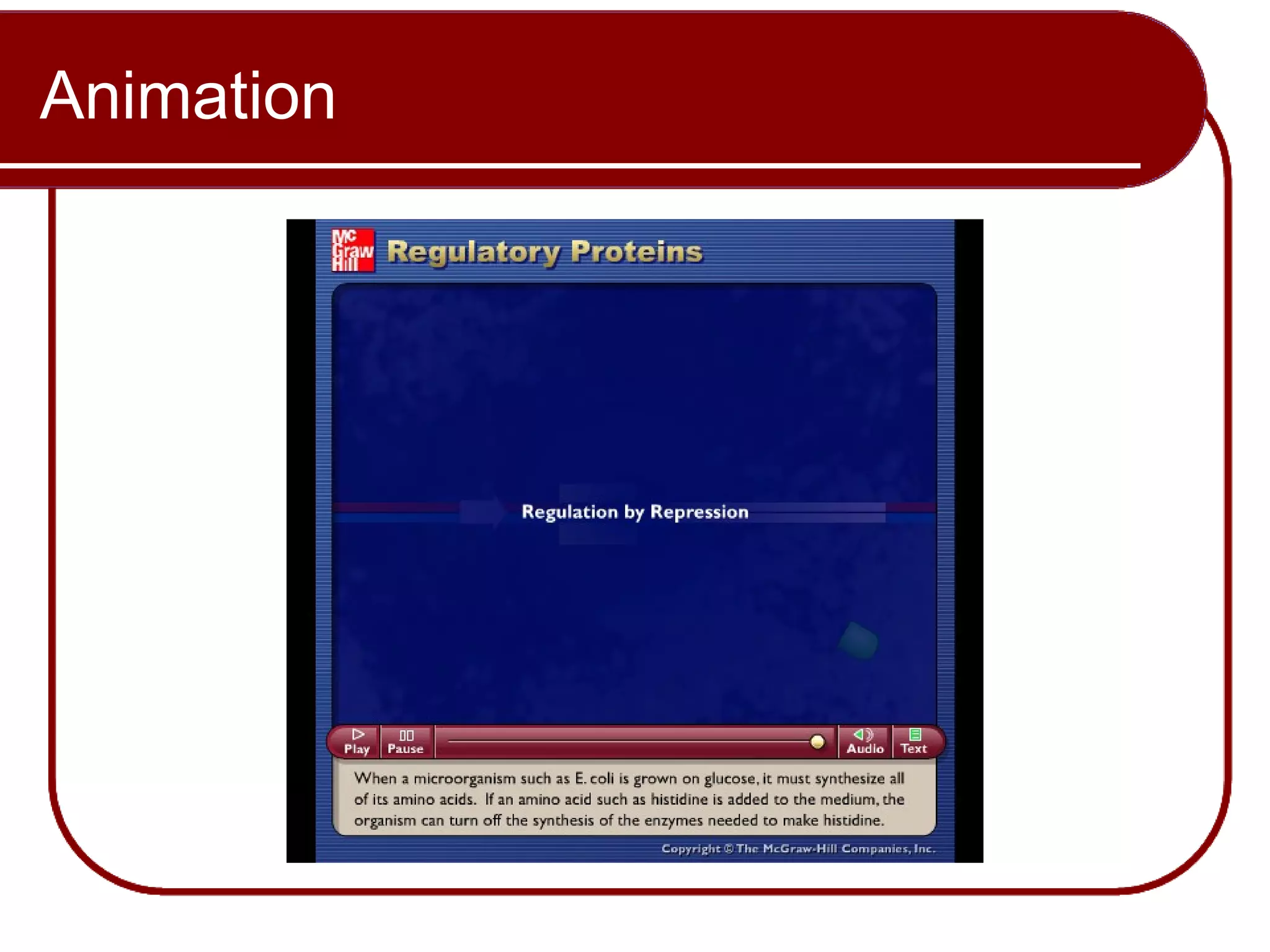 13 Lecture Animation Ppt | PPT