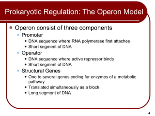 13 Lecture Animation Ppt | PPT