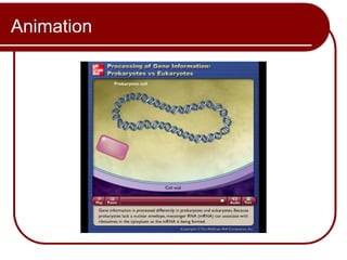 13 Lecture Animation Ppt | PPT