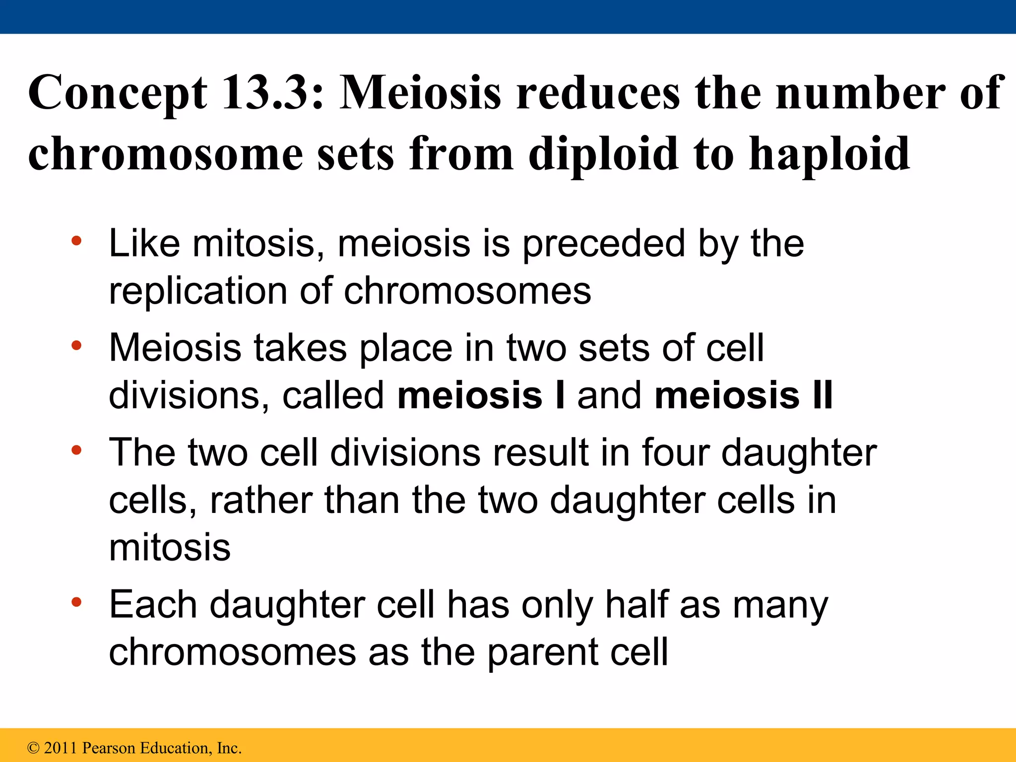 Ch 13: Meiosis and Sexual Life Cycles | PPT