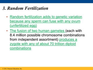 Random Fertilization