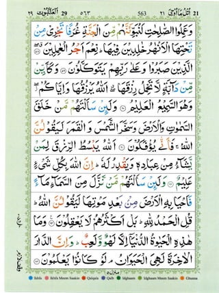Surah Anqabut / Ankabut | PDF