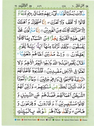 Surah Anqabut / Ankabut | PDF
