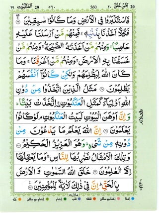 Surah Anqabut / Ankabut | PDF