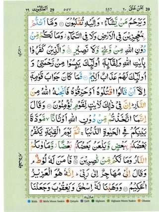 Quran with Tajwid Surah 29 ﴾القرآن سورۃ العنكبوت﴿ Al-Ankabut 🙪 PDF | PDF