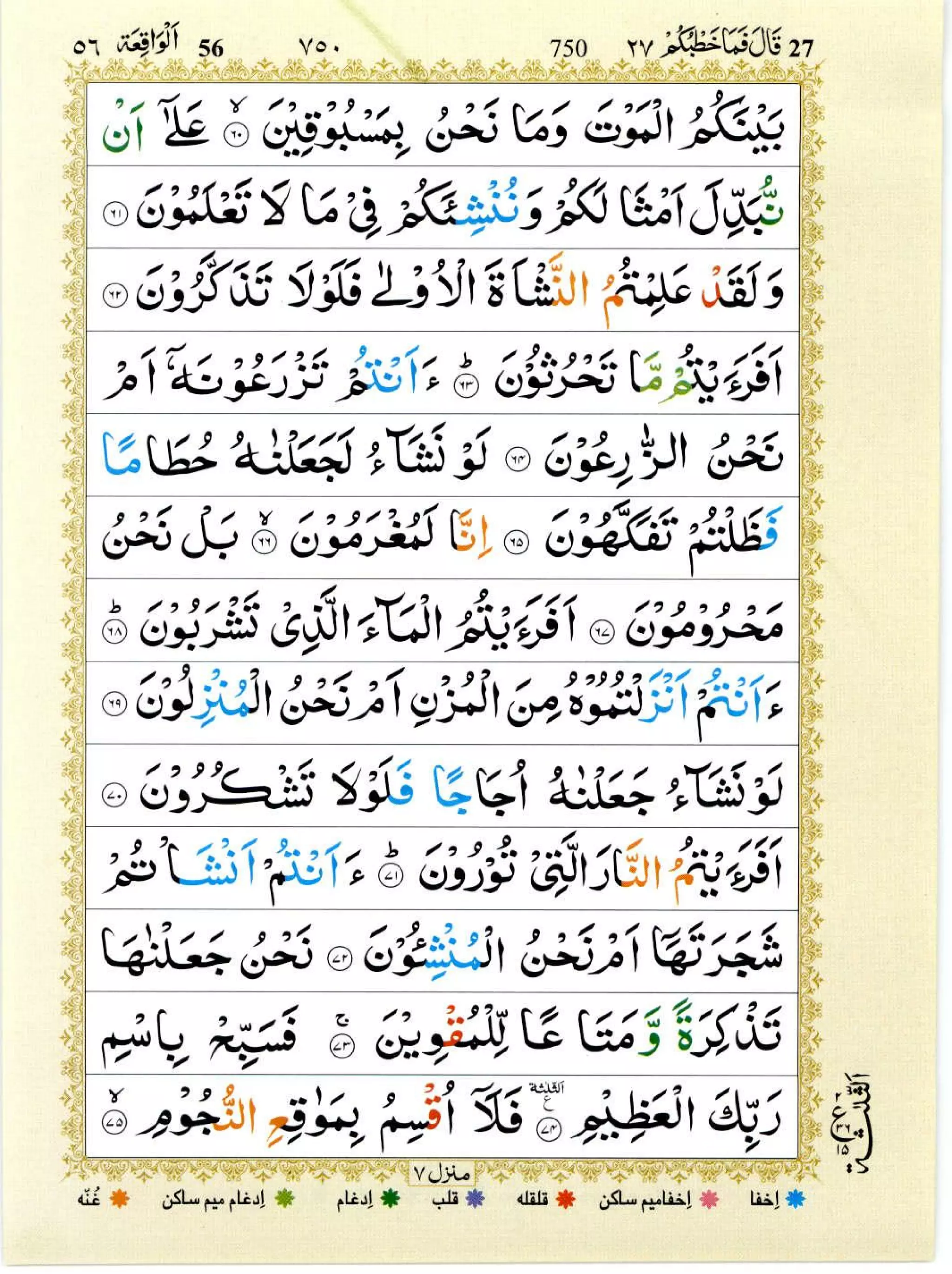 Quran with Tajwid Surah 56 ﴾القرآن سورۃ الواقعة﴿ Al-Waqi'a 🙪 PDF | PDF