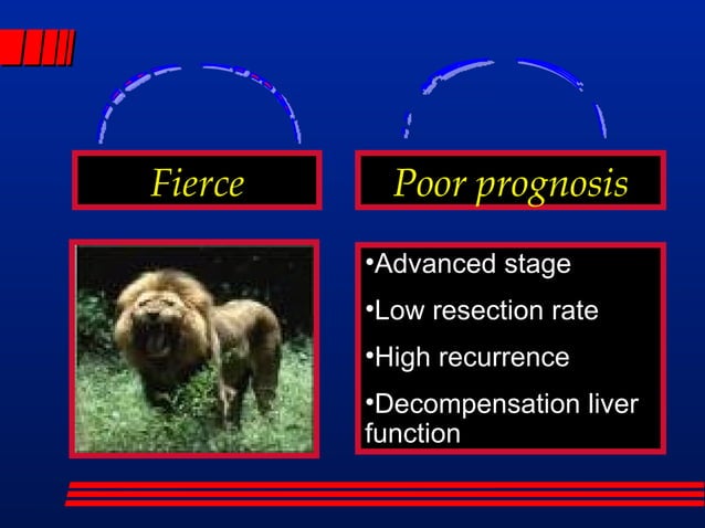 13 liver cancer | PPT
