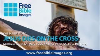 Rabboni: Mary Magdalene | PDF | Christianity | Religion & Spirituality