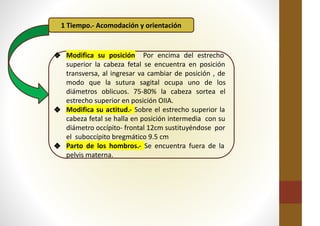13 MECANISMO DEL PARTO...............pdf