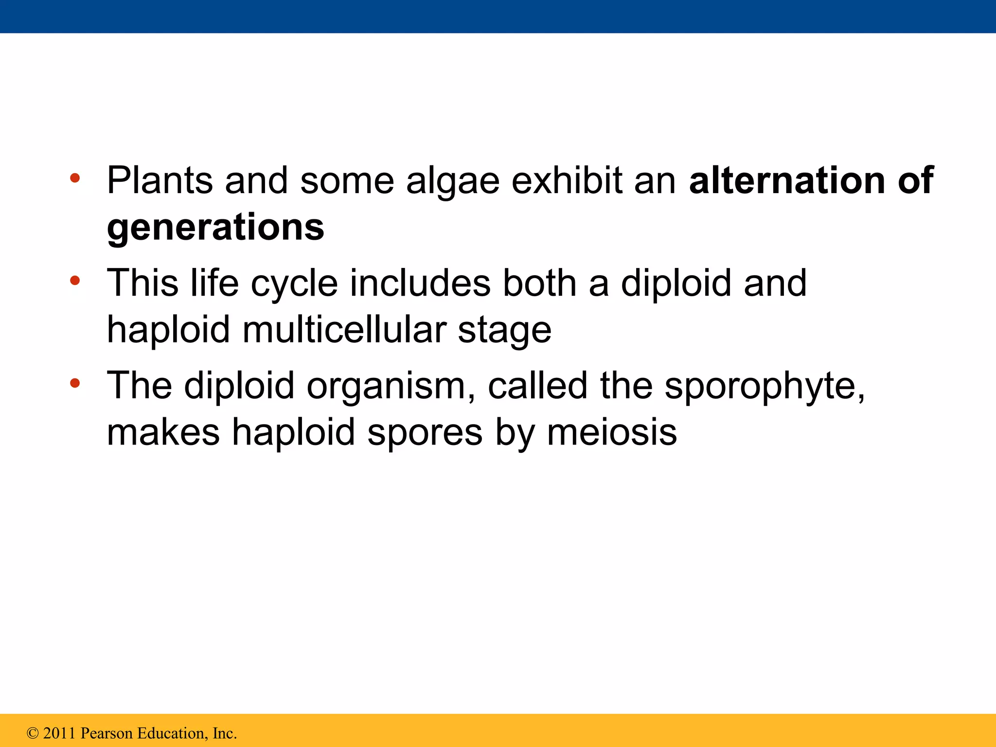 13 meiosis and sexual life cycles | PPT | Free Download