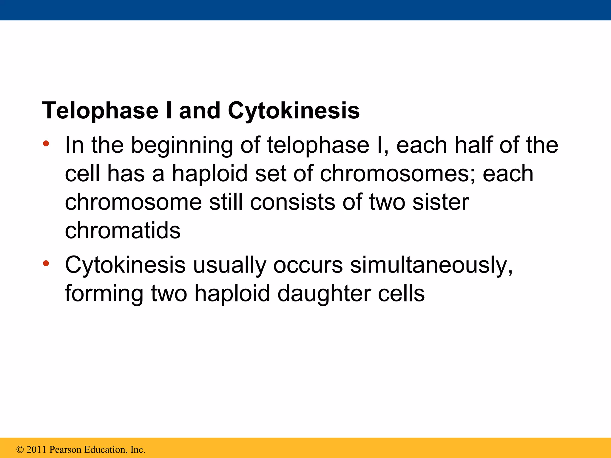 13 meiosis and sexual life cycles | PPT