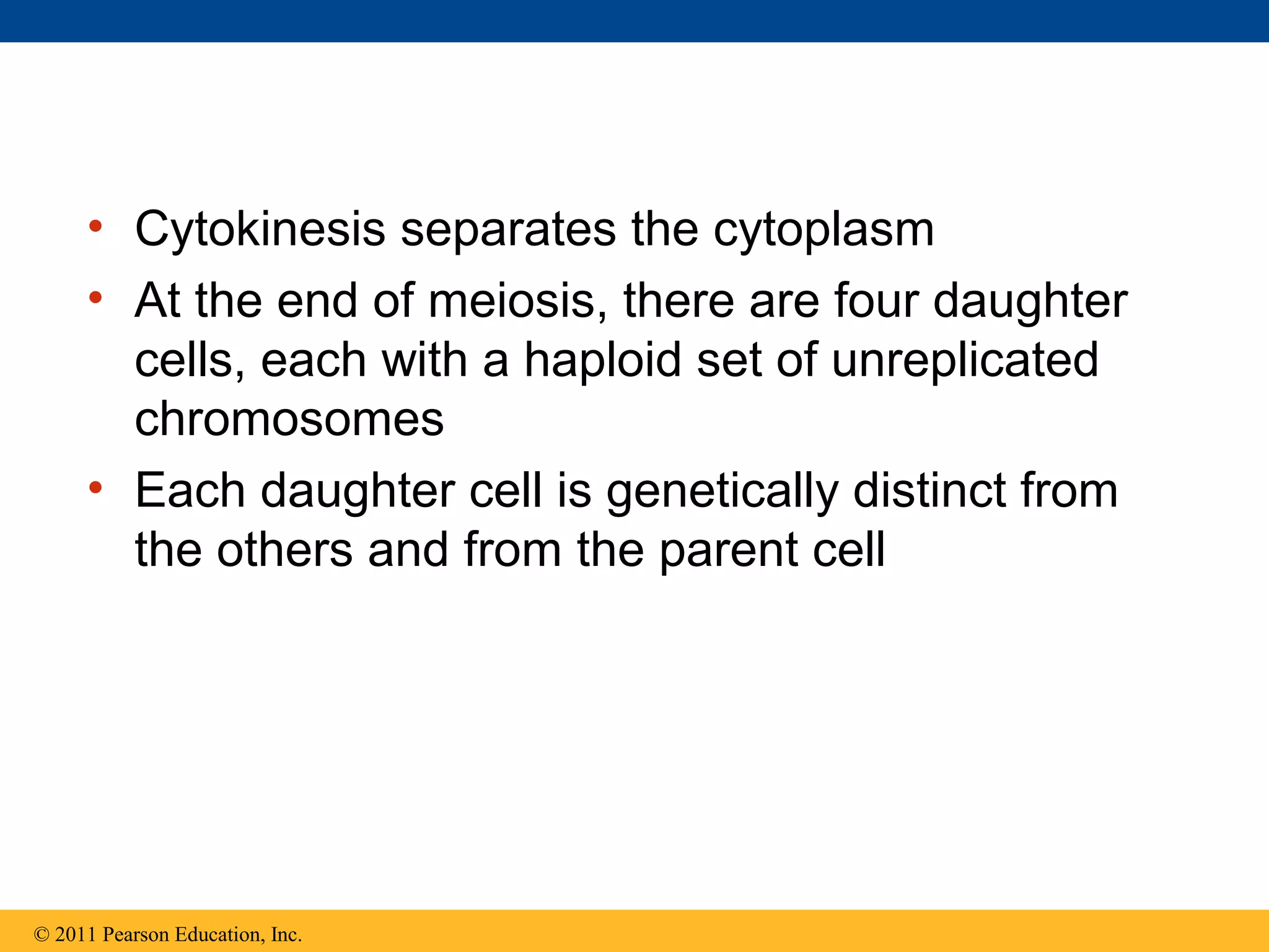 13 meiosis and sexual life cycles | PPT