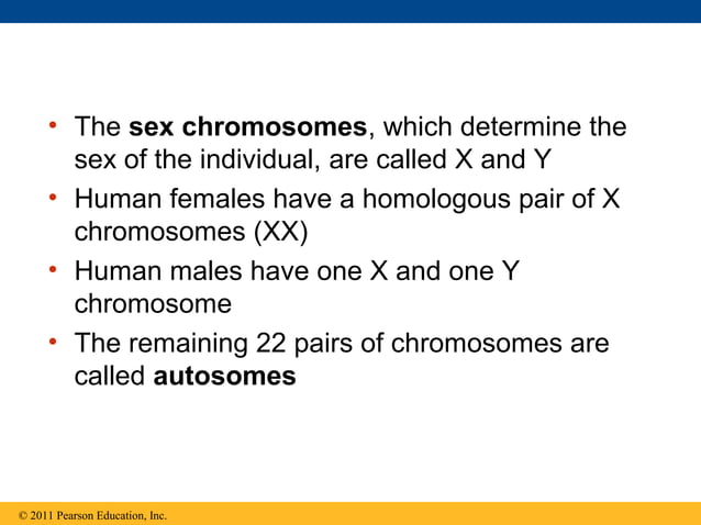 13 meiosis and sexual life cycles | PPT