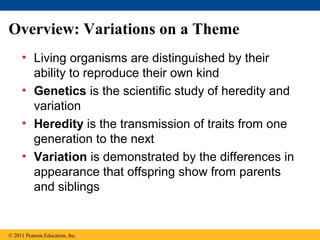 13 meiosis and sexual life cycles | PPT