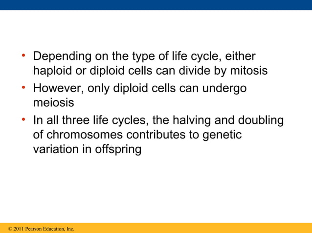 13 meiosis and sexual life cycles | PPT