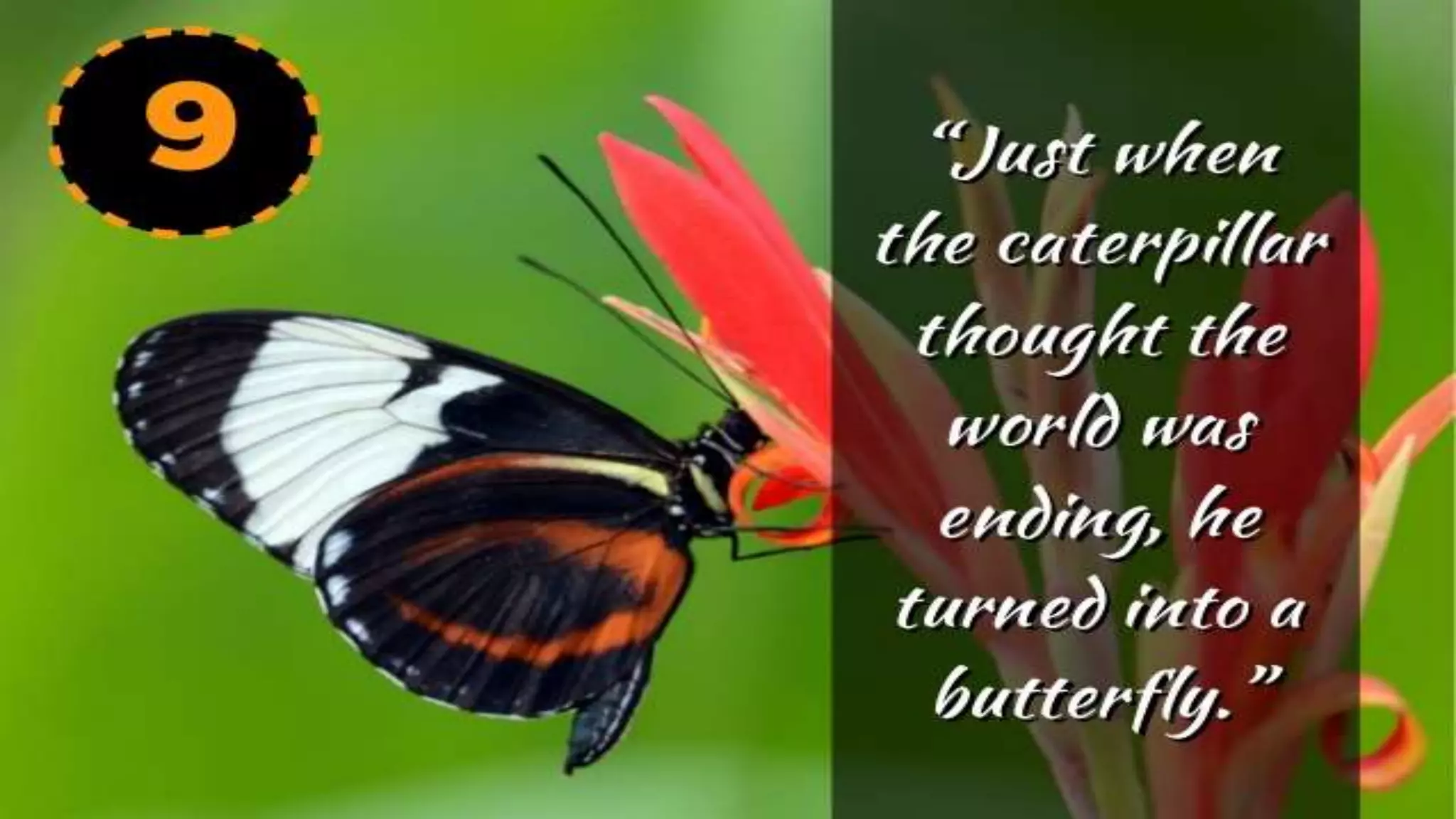 13 motivational quotes simple sayings to get you | PPTX