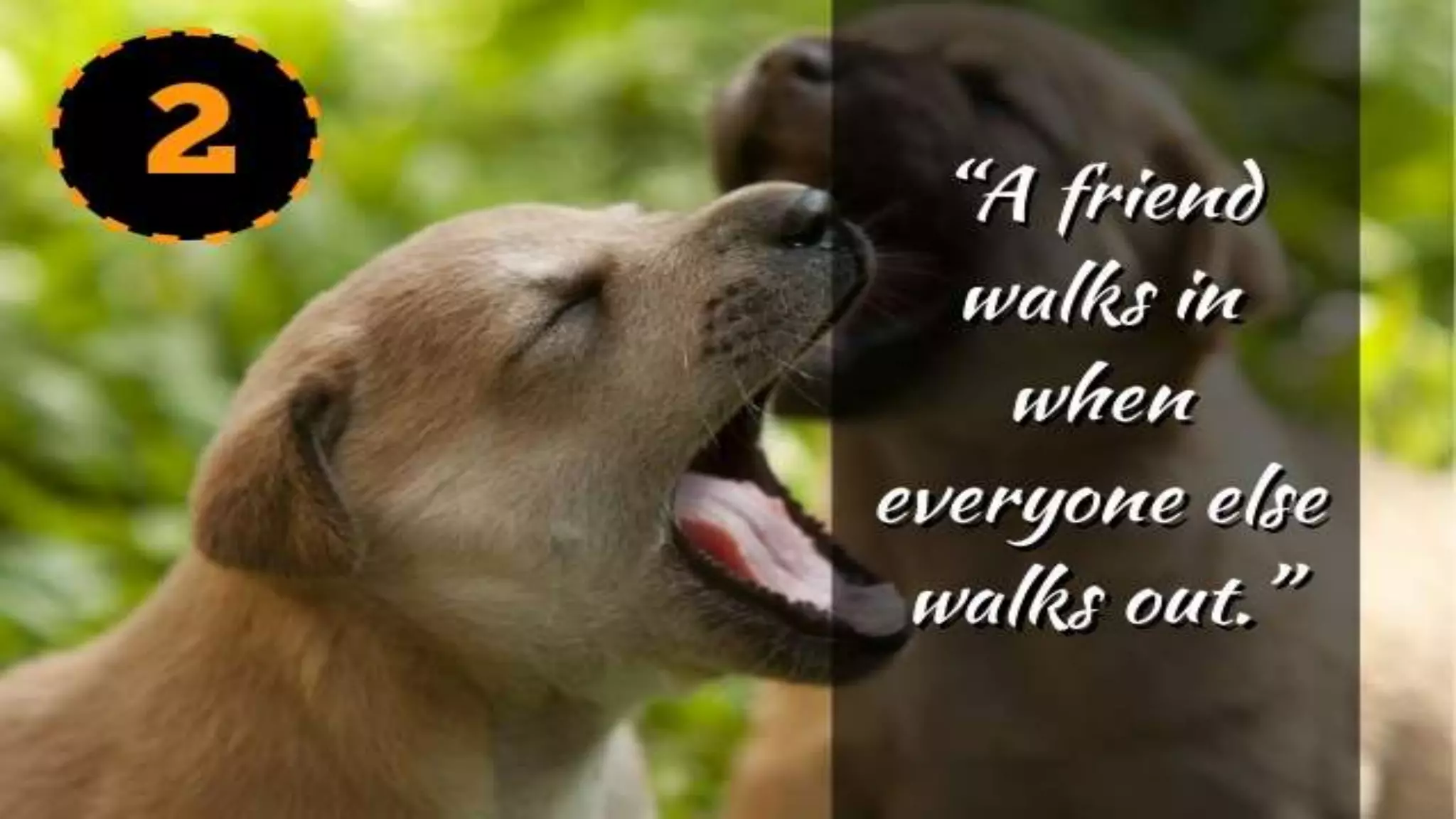 13 motivational quotes simple sayings to get you | PPTX