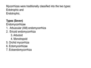 Mycorrhizae | PPT