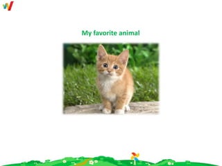 My favorite animal | PPT