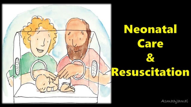 neonatal resuscitation and care | PPTX | Pregnancy | Reproductive Health